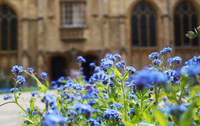 Main Quad - University College Oxford (Univ)