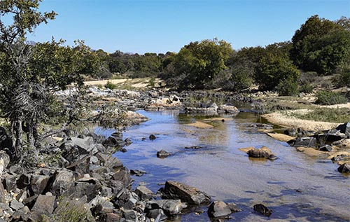 Zimbabwe Fieldwork 2022 - University College Oxford (Univ) - Univ