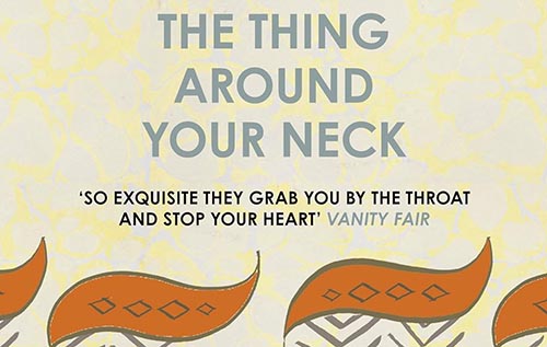 The Thing Around Your Neck Summary