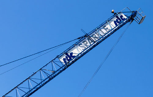 Name the Crane: Sparkle - University College Oxford (Univ) - Univ